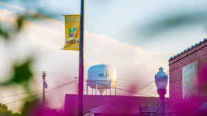 The City Of Ripley MS - About Ripley Mississippi