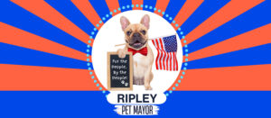 Ripley MS - Visit Ripley Mississippi